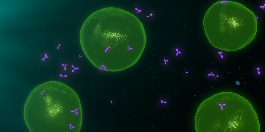 'Relaxed' T Cells Critical to Immune Response | Lab Manager