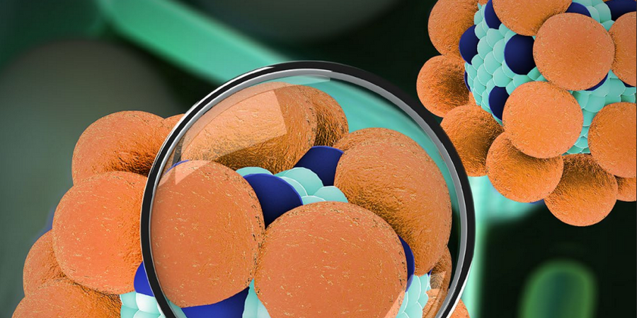 A Guide to Understanding and Managing Cell Culture Contamination | Lab ...