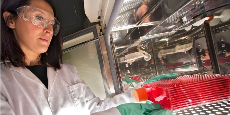 Reduce Your Contamination Risk | Lab Manager