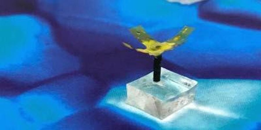 Wireless Aquatic Robot Could Clean Water and Transport Cells | Lab Manager