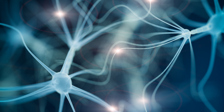 A Mechanical Way to Stimulate Neurons | Lab Manager