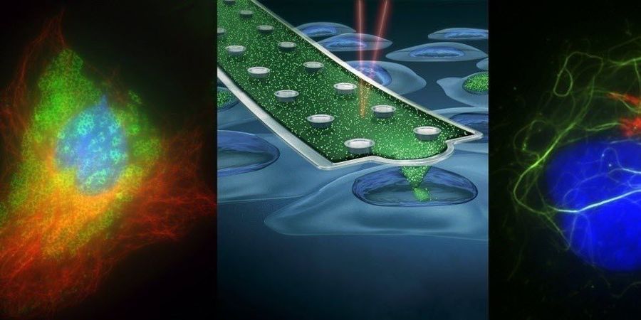 Olympus and Cytosurge Collaborate to Deliver a Complete Single-Cell and ...