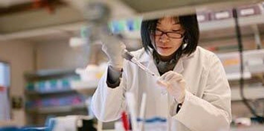 Tailored Solutions for Exosome-Related Research | Lab Manager