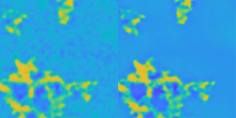 New Method Improves EM Image Quality without Compromising Samples | Lab ...