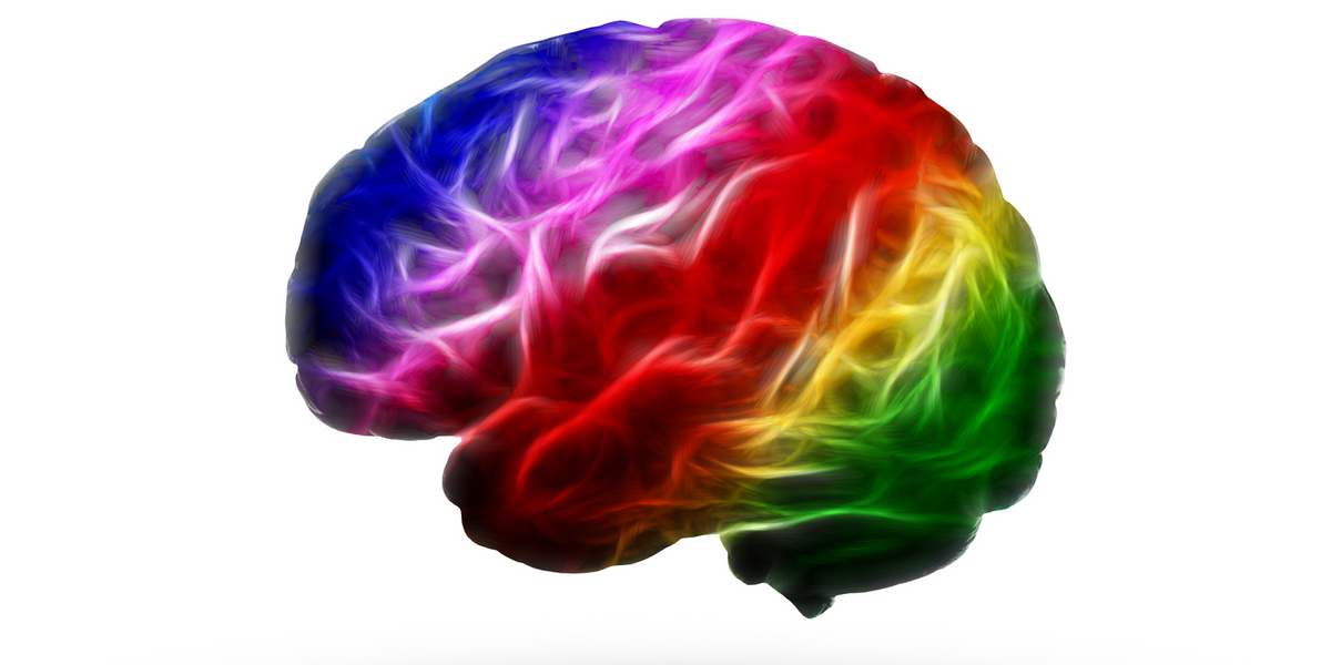 What Color Are Brains Adding Color Untangles The Brain's Gray Secrets