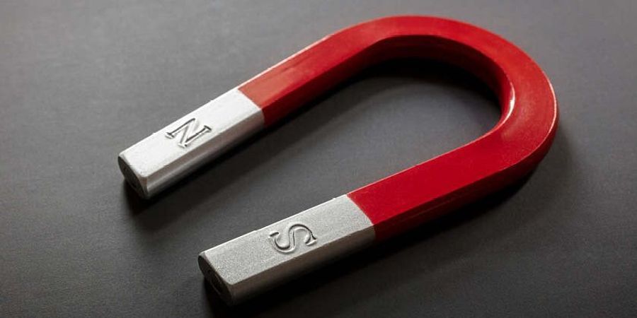 A Magnetic Bead Separation Protocol | Lab Manager