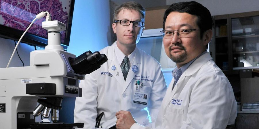 Study: Levels and Anti-Tumor Effectiveness of a Common Drug Vary Widely ...