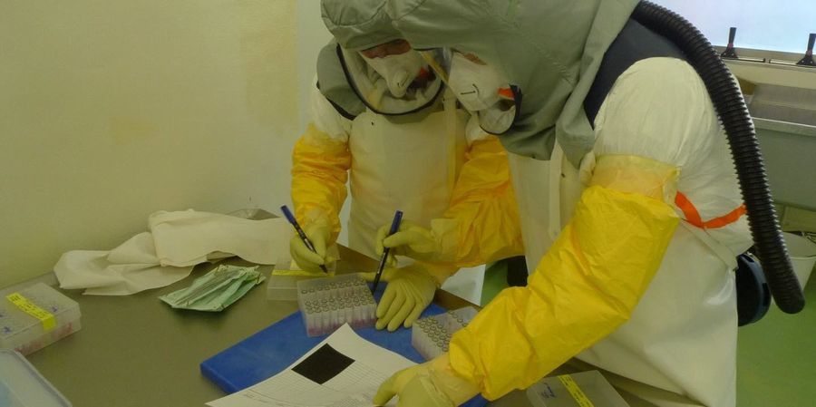 Details on the First Cat Infected with SARS-CoV-2 in Spain | Lab Manager