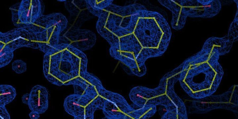 How Deadly Parasites 'Glide' into Human Cells | Lab Manager