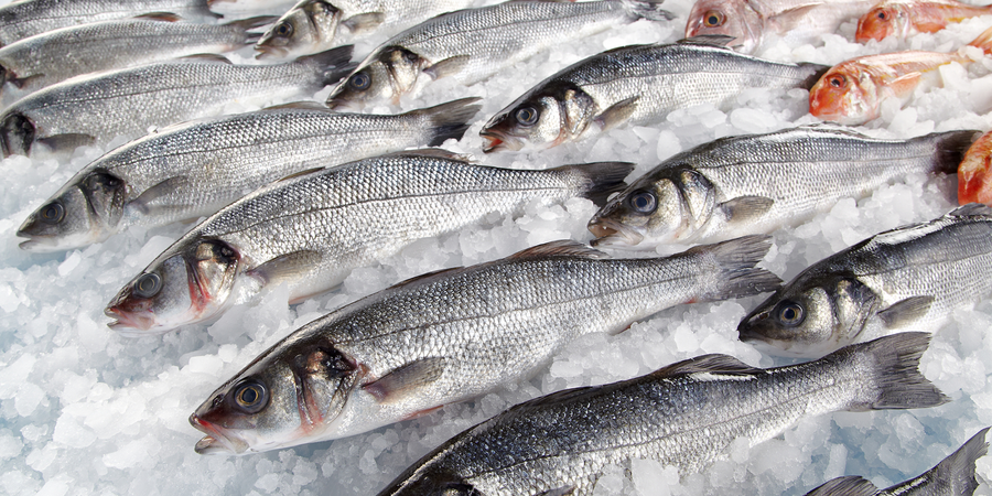 A Smart Solution to Detect Seafood Spoilage | Lab Manager