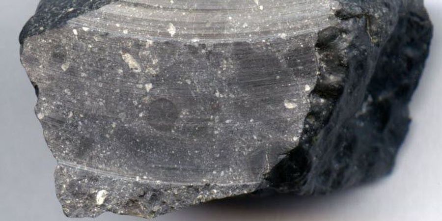 Evidence of Water Discovered in Analysis of Martian Meteorite | Lab Manager