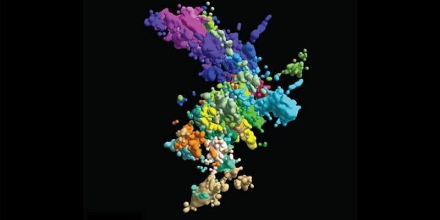 High-Res 3D Images Could Lead to Better Chromosome Models | Lab Manager