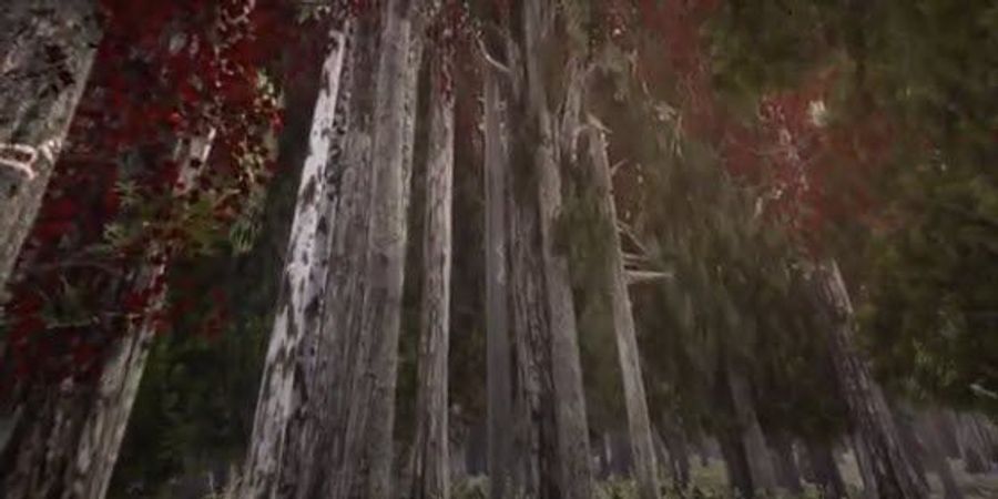 How VR Forests Could Help Understanding of Climate Change | Lab Manager