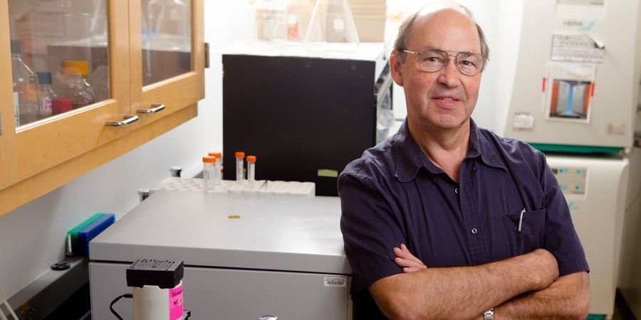 Researchers: COVID-19 Studies Should Also Focus on Mucosal Immunity ...