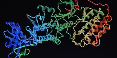 Tecan and ProtiFi Announce Collaborative Partnership for Integrated Proteomics | Lab Manager
