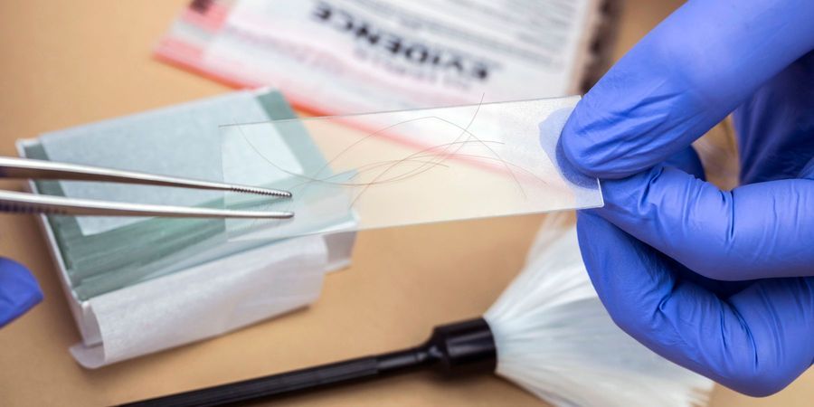 Forensic Identification of Single Dyed Hair Strand Now Possible | Lab ...