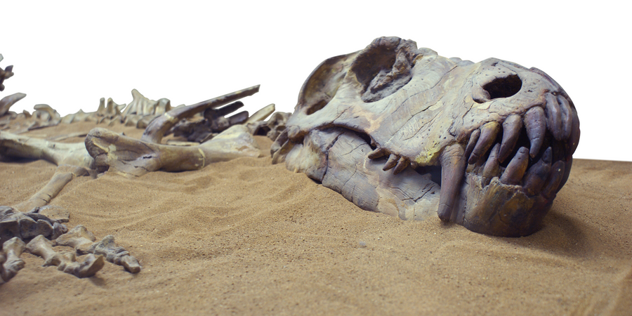 AI Finds Surprising Patterns in Earth's Biological Mass Extinctions ...