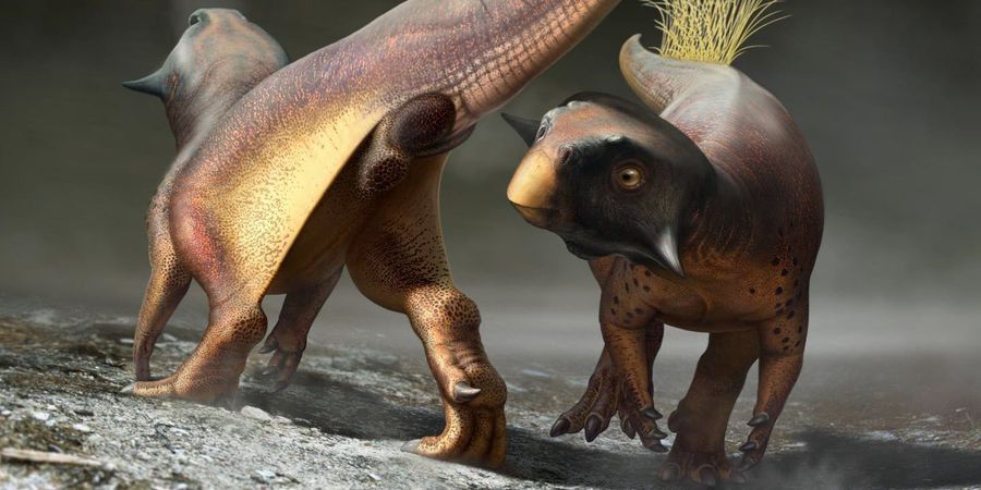 Scientists Reconstruct Dinosaur Orifice for the First Time | Lab Manager