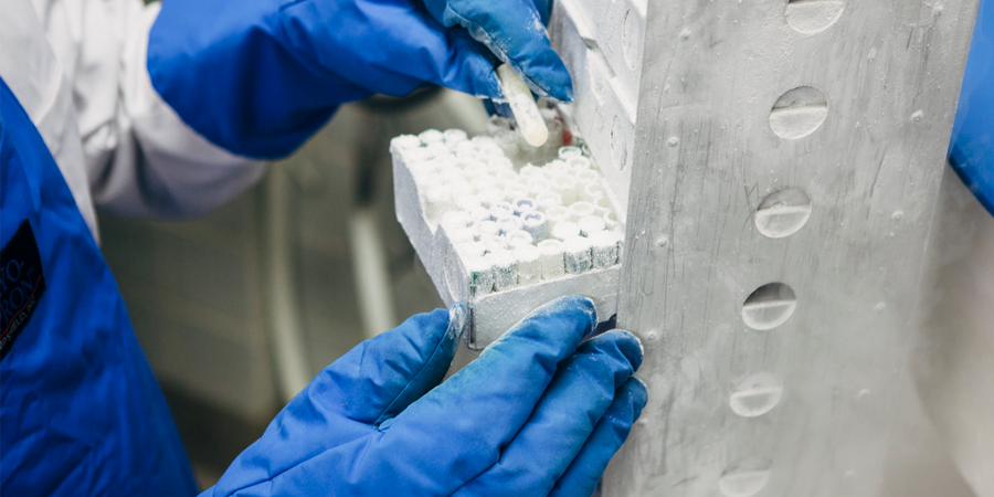 Ultralow Cold Storage 101 | Lab Manager