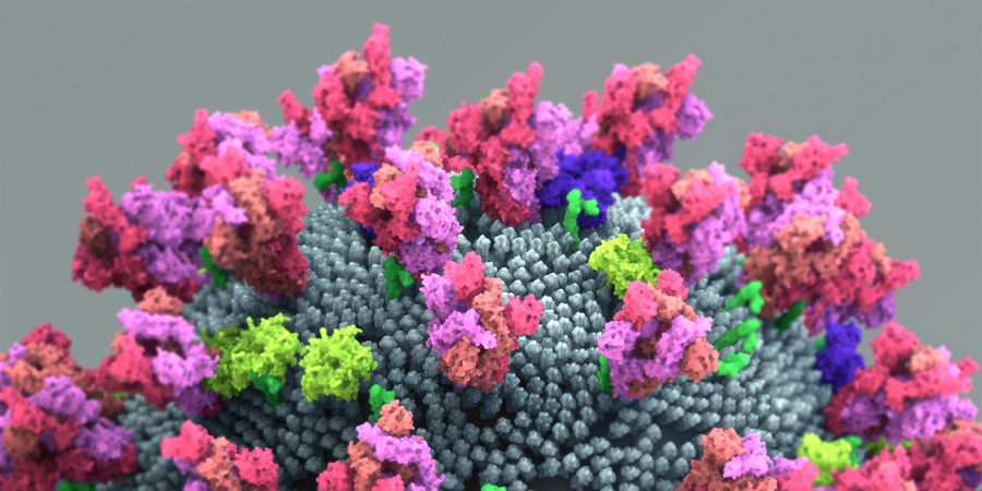 How Vitamins, Steroids, and Antivirals Might Affect SARS-CoV-2 | Lab ...