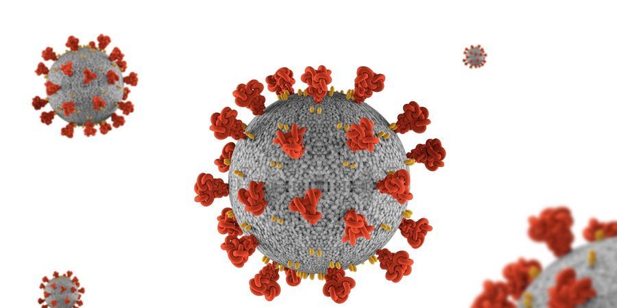 A New and Highly Efficient Method for SARS-CoV-2 Mutation Analysis ...