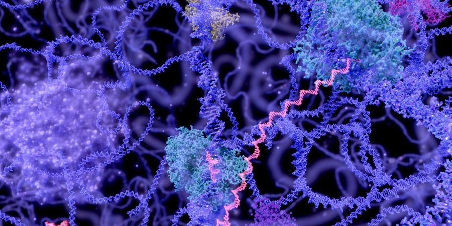 A Glimpse into the Formation of Mitoribosome | Lab Manager