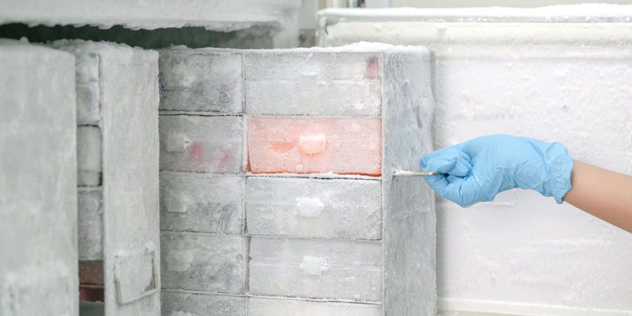 When Freezers Fail | Lab Manager