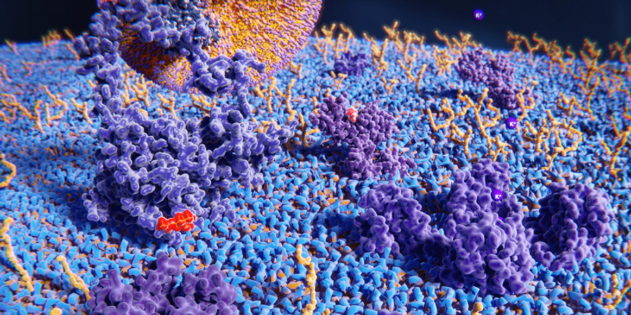 Companies to Explore Structure-based Drug Discovery (SBDD) Approaches ...