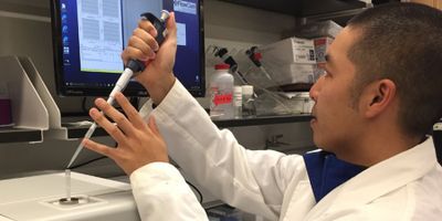 Ultimate Guide to Flow Imaging Microscopy | Lab Manager