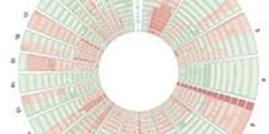 Study Finds Wide Variation Between Human Cell Lines Used for Research ...