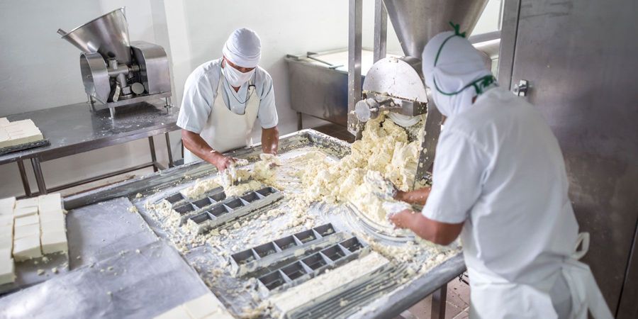 Science Takes Guesswork Out of Cheese Production and Reduces Waste ...