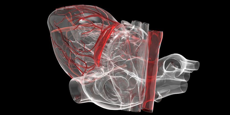Lab-Created Heart Valves Can Grow with the Recipient | Lab Manager