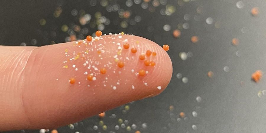 Microplastics: A 'Hub' for Pathogens, Antibiotic-Resistant Bacteria ...
