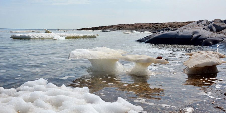 Melting Ice Sheets Caused Sea Levels to Rise up to 18 Meters | Lab Manager