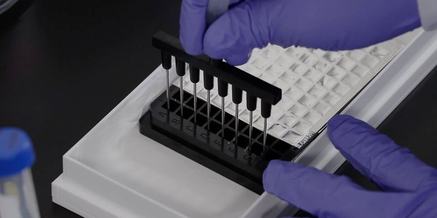 Multiplex Array Technology for Rapid COVID-19 Clade Variant Testing ...