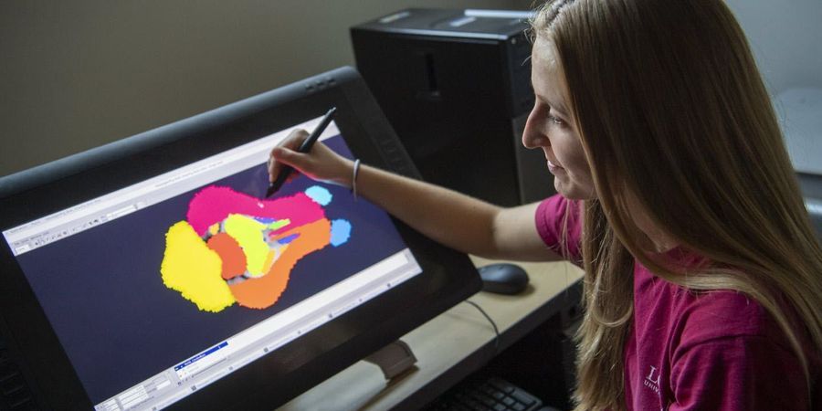 New Pig Brain Maps Facilitate Human Neuroscience Discoveries | Lab Manager
