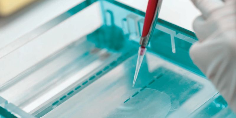 Purchasing Pre-Owned Instruments for Life Science Research | Lab Manager