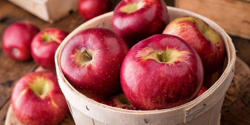 Do Antibiotics Destroy Apples' Native Microbiome? | Lab Manager