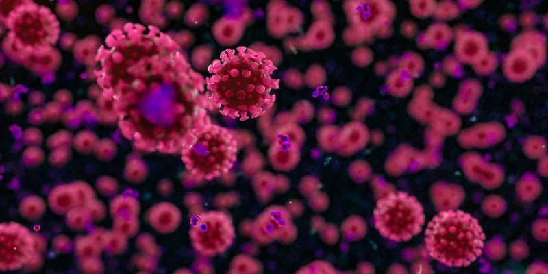 New Tools for Rapid Analysis of Coronavirus Sequences and Variant ...