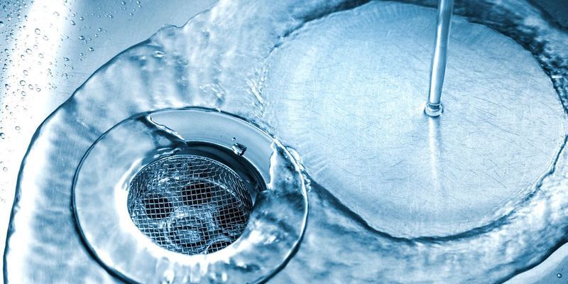 Solving a Natural Riddle of Water Filtration | Lab Manager