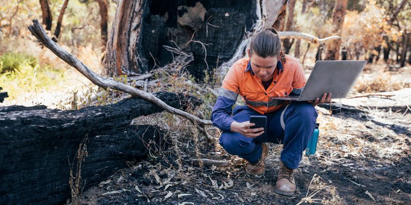 How We Measure Biodiversity Can Have Profound Impacts on Land Use | Lab ...