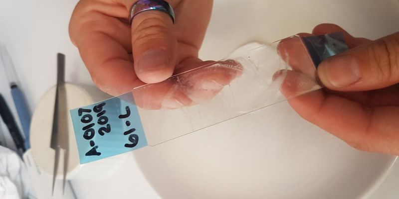 Crime Scene Tape Set to Revolutionize Microplastics Research | Lab Manager
