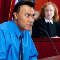 Research on Visual Perception Wins 2012 Eppendorf & Science Prize | Lab ...