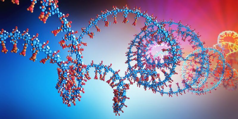 The Future of Medicine Is Nearer Thanks to Researchers’ Invention | Lab ...