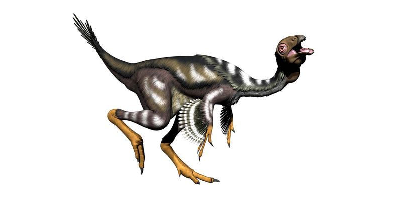 Organic Molecule Remnants Found in Nuclei of Ancient Dinosaur Cells ...