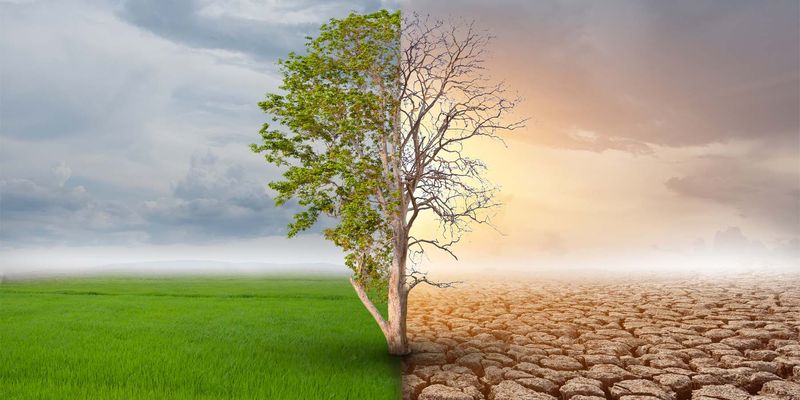 More than 99.9 Percent of Studies Agree: Humans Caused Climate Change ...