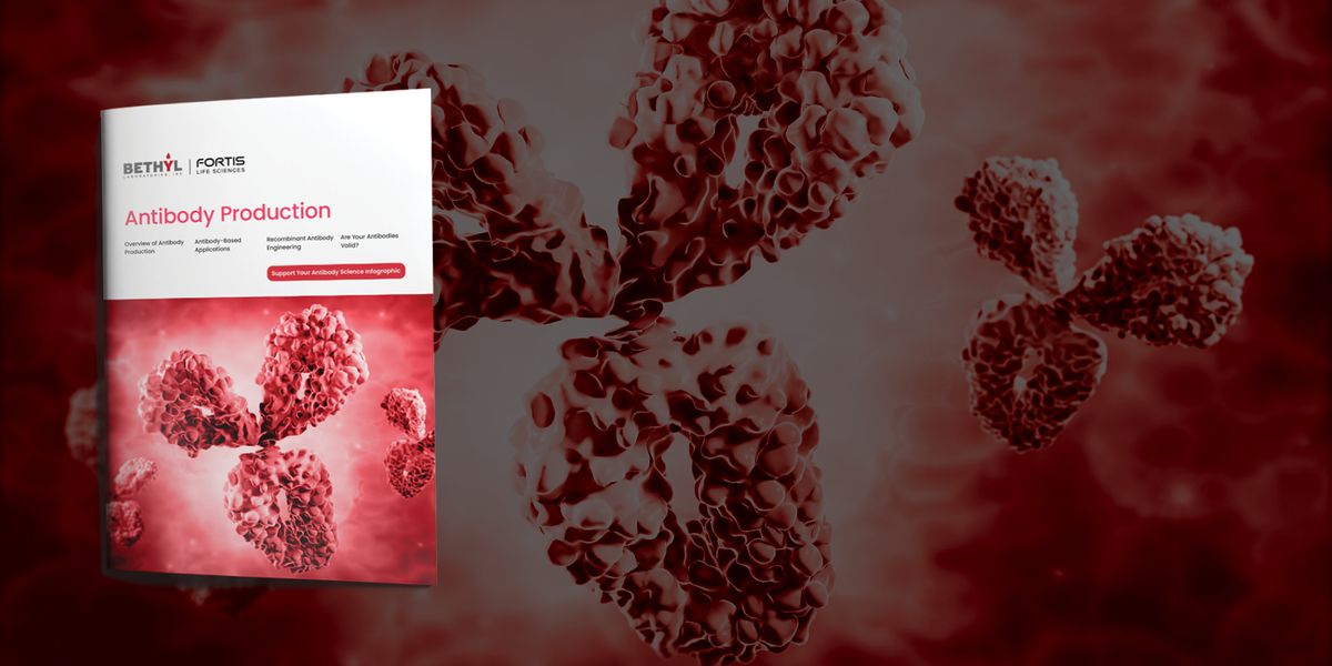 Fortis Productions Logo