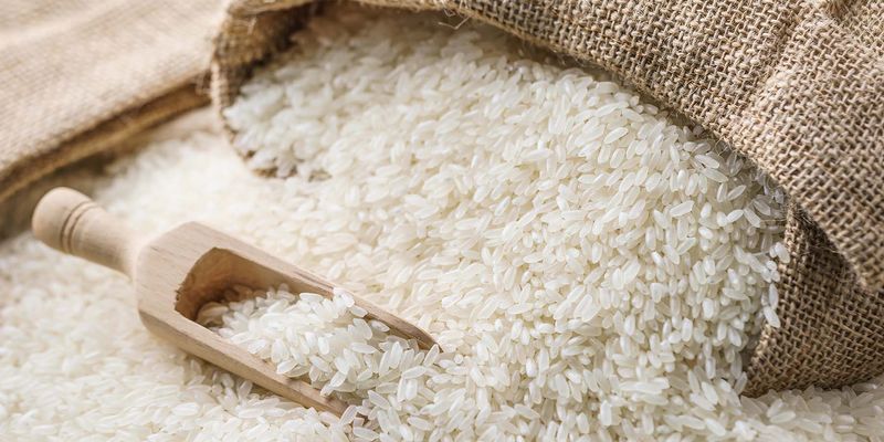 Comparing Photosynthetic Differences between Wild and Domesticated Rice ...