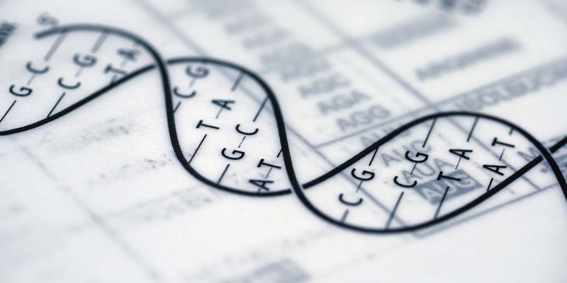 Researcher Develops Program to Read and Decipher Any Genome Sequence | Lab Manager