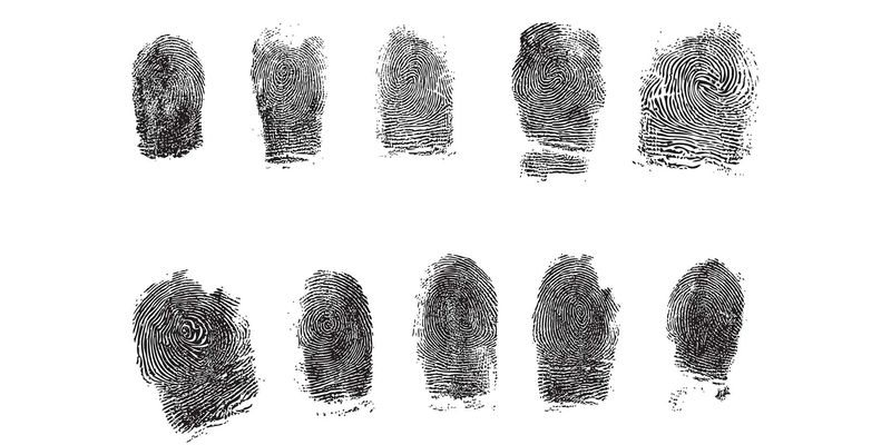 Bulletproof Fingerprint Technology Takes Images in the Round | Lab Manager